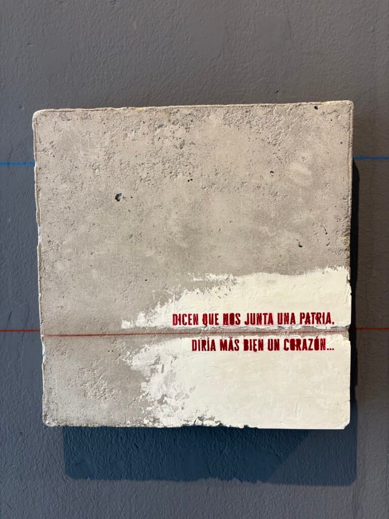Reversiones y Ficciones de la Nación - Daniel Benoit Cassou